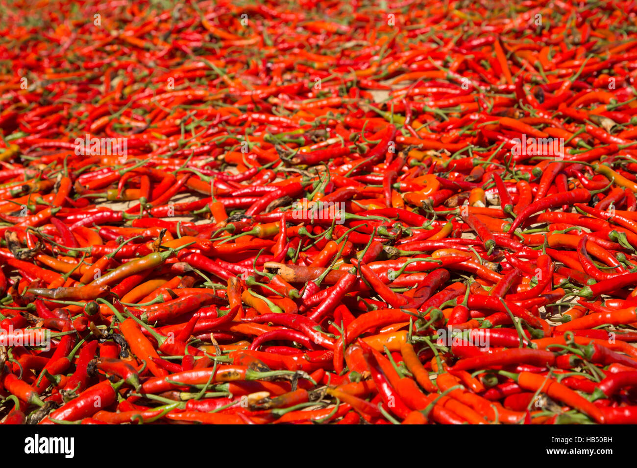 Hot chilli peppers Stock Photo - Alamy