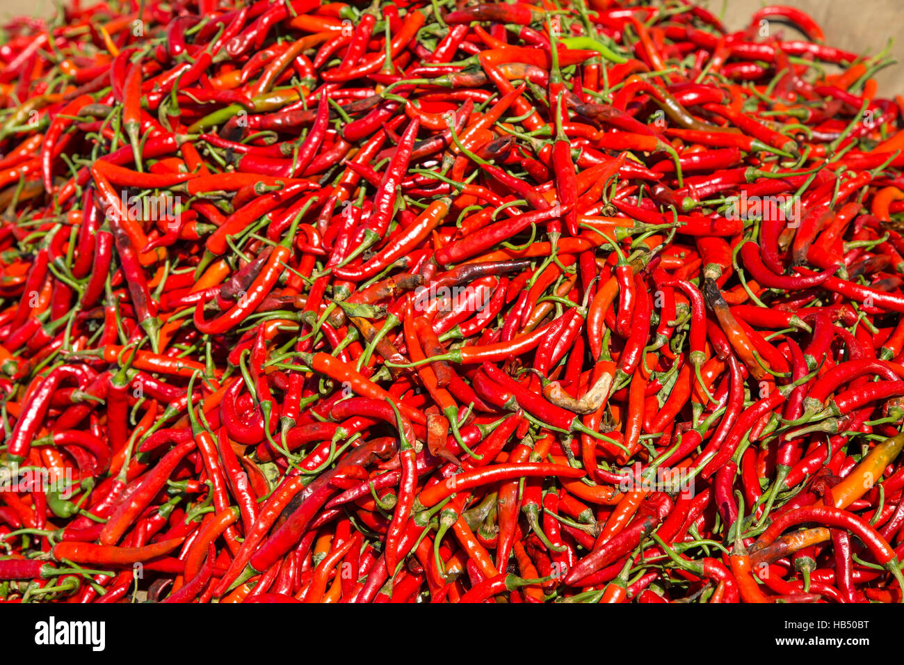 Chilli harvest mexico hi-res stock photography and images - Alamy