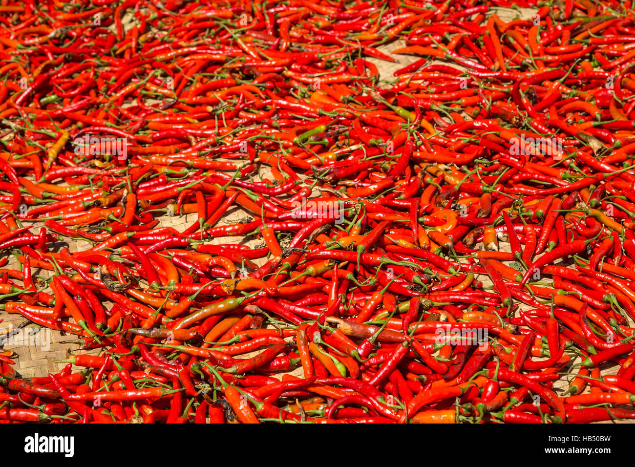 Hot chilli peppers Stock Photo - Alamy