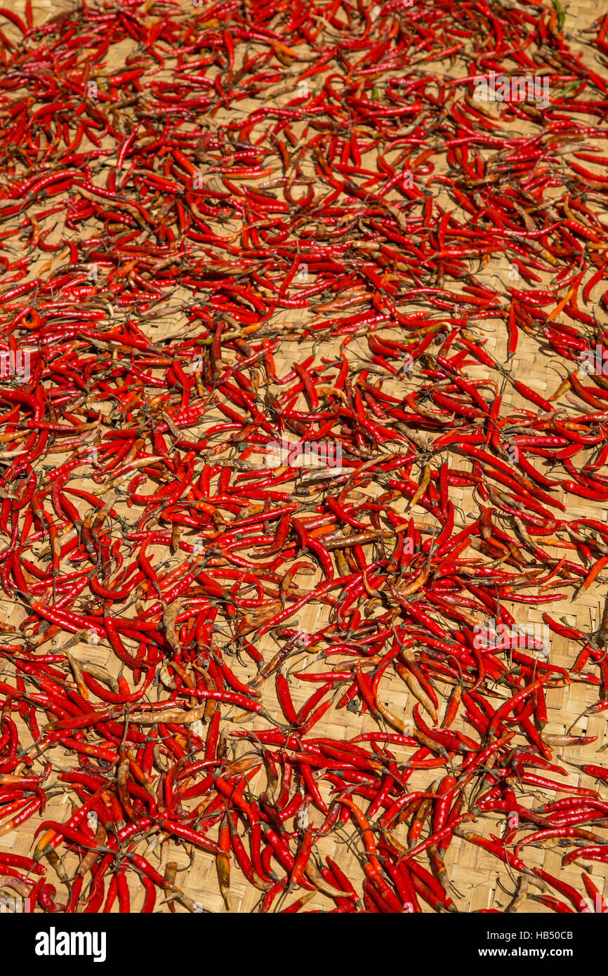 Chilli harvest mexico hi-res stock photography and images - Alamy