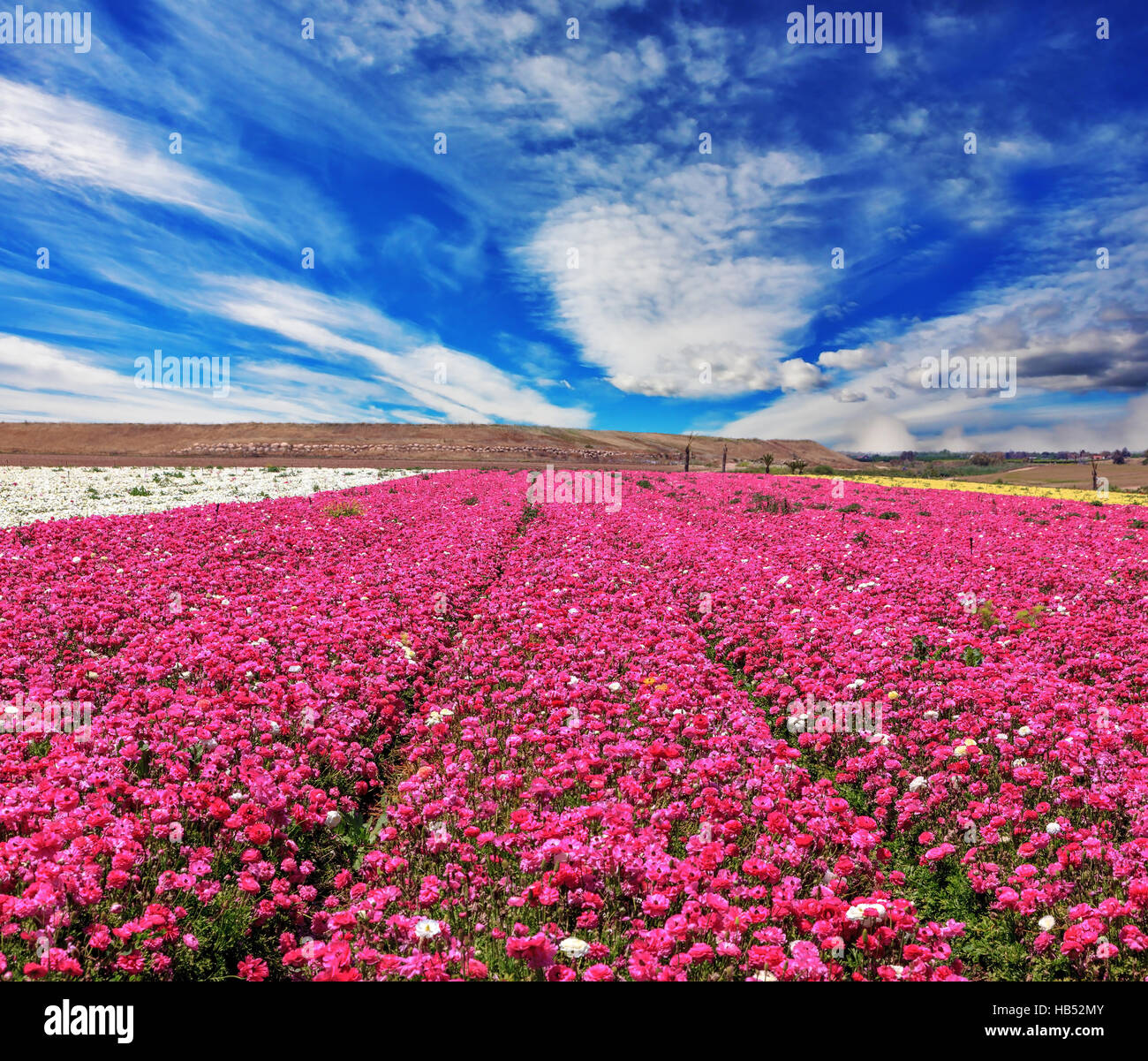 Spring on the farm hi-res stock photography and images - Alamy