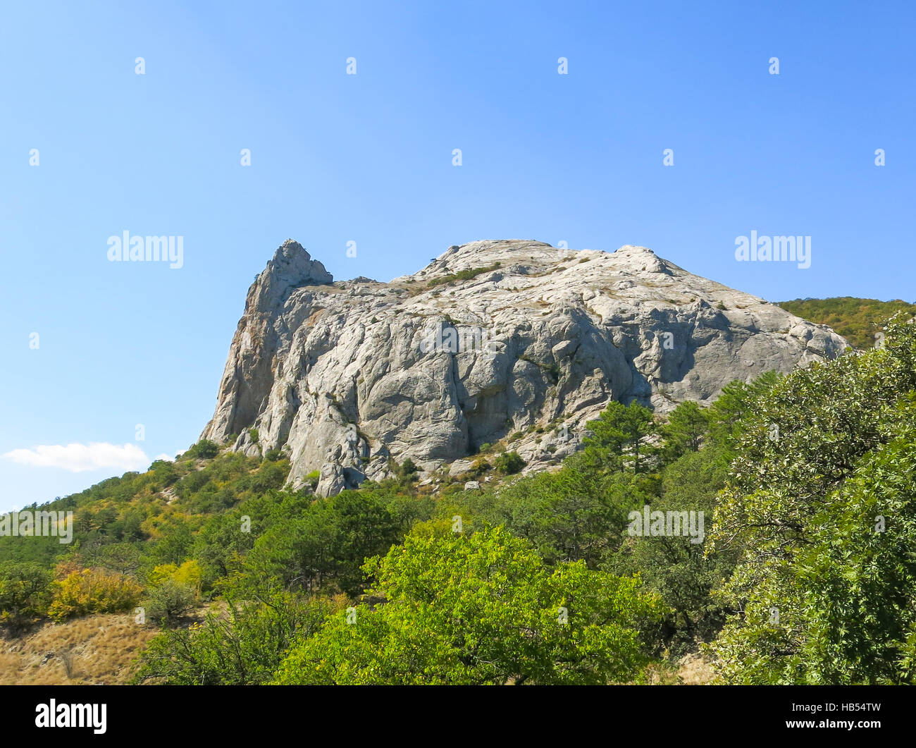 Rock in forest hi-res stock photography and images - Alamy