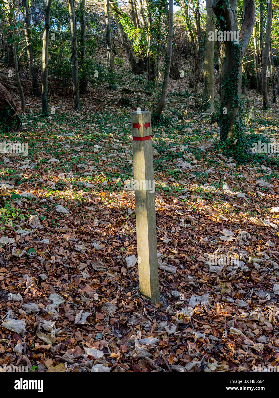 Wood post directional sign hi-res stock photography and images - Alamy