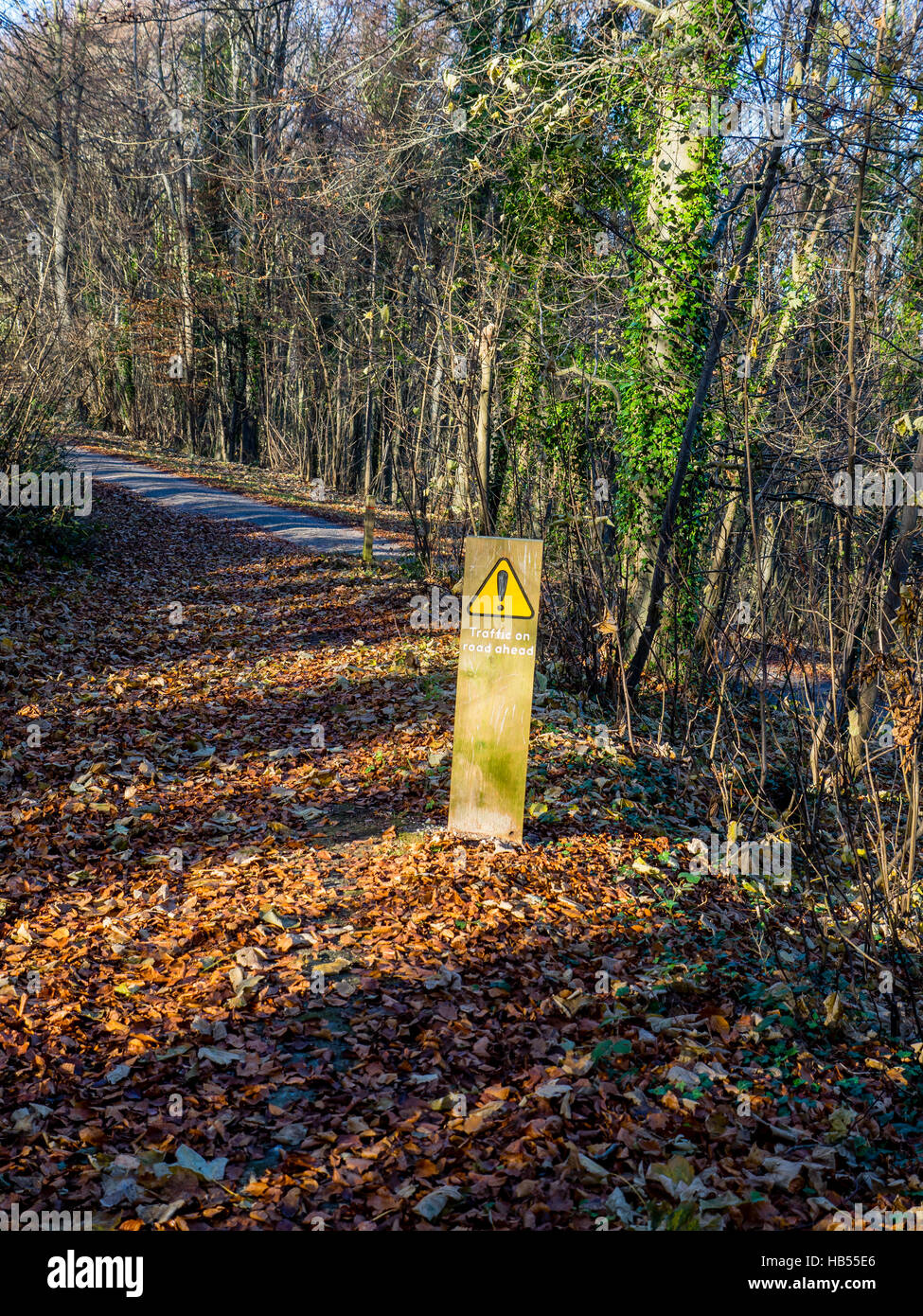 Wooden warning sign indicating road ahead, Friston Forest, Friston ...