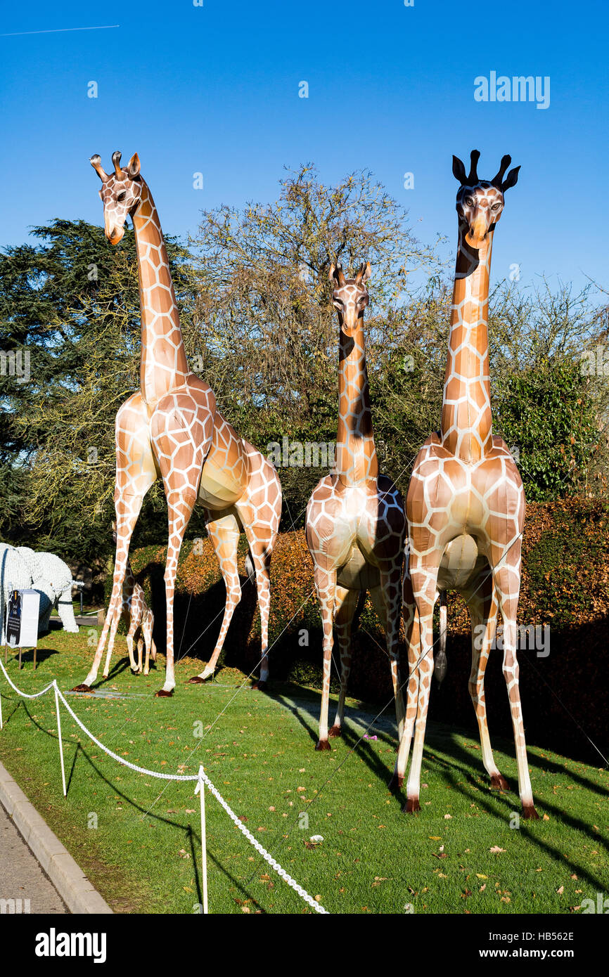Longleat jungle hi-res stock photography and images - Alamy