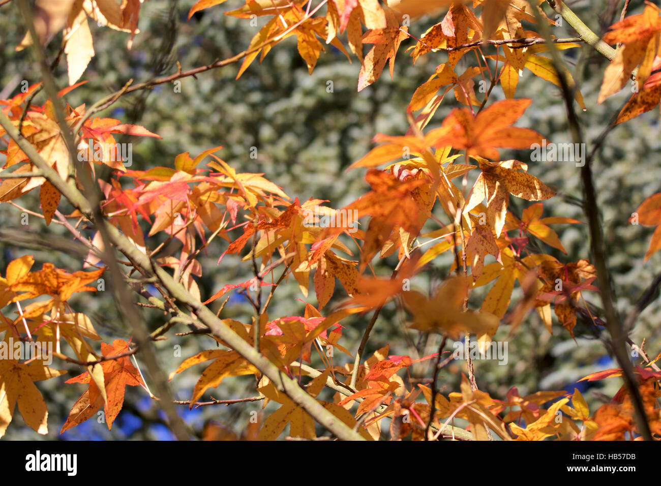 Signs of autumn hi-res stock photography and images - Alamy