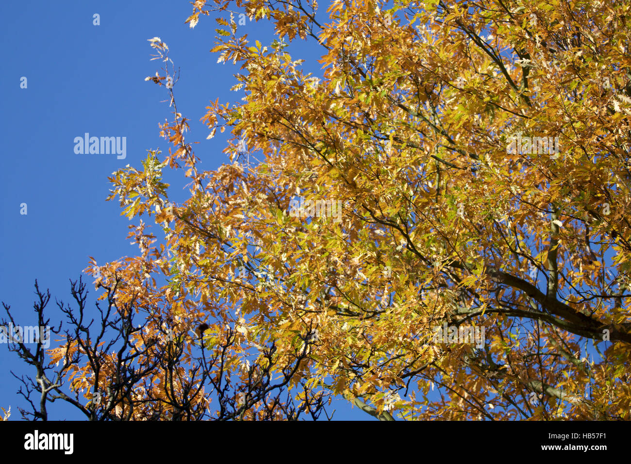 Signs of autumn hi-res stock photography and images - Alamy