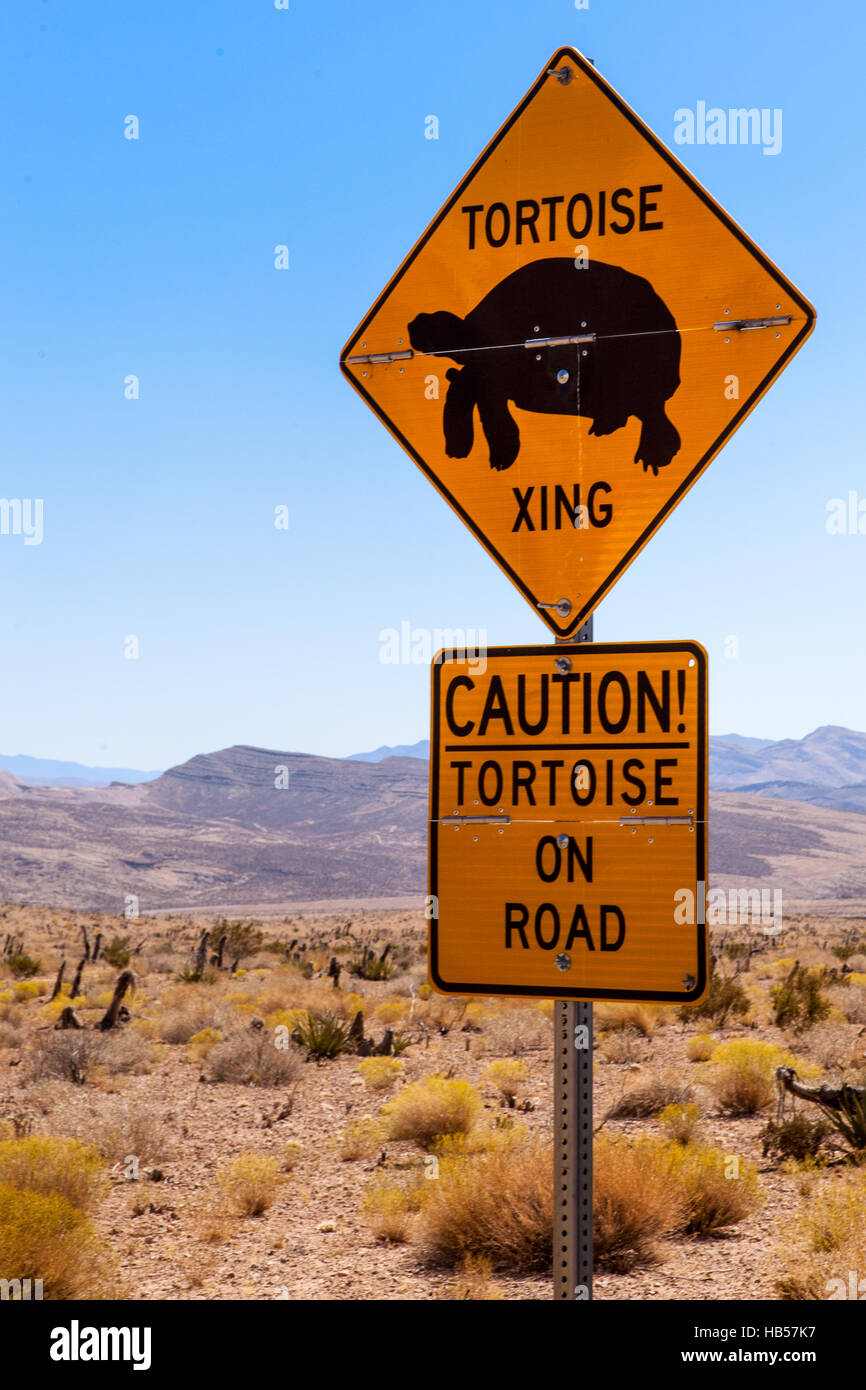 Tortoise warning road sign hi-res stock photography and images - Alamy