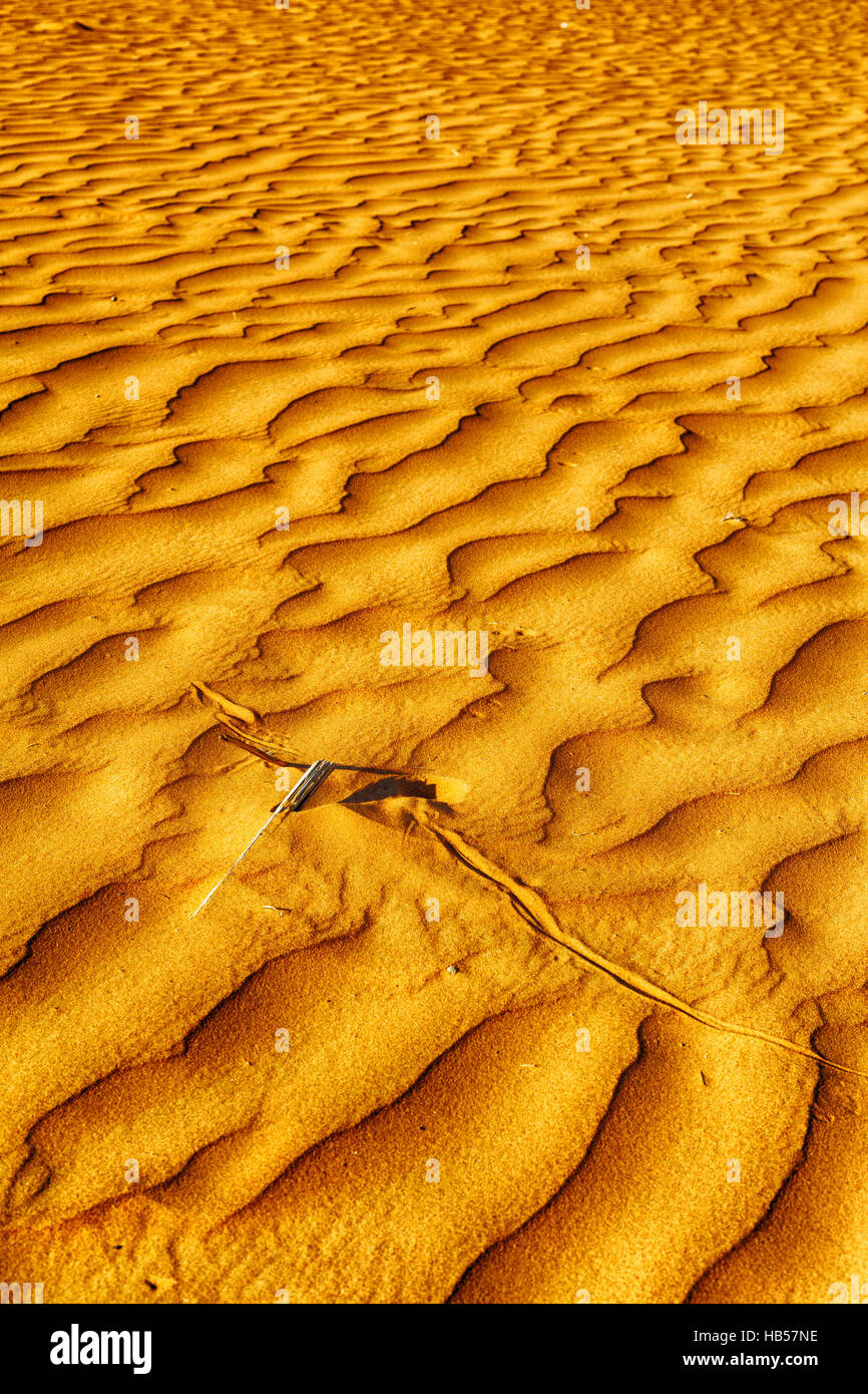 abstract texture line wave in oman the old desert and the empty quarter ...
