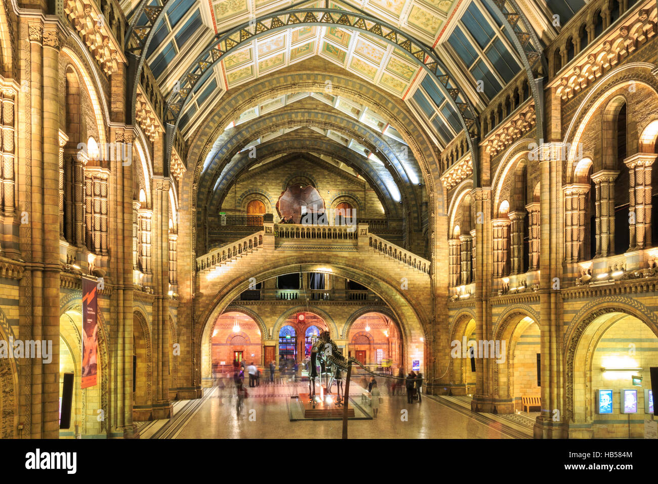Natural History Museum, main hall, London, UK Stock Photo - Alamy