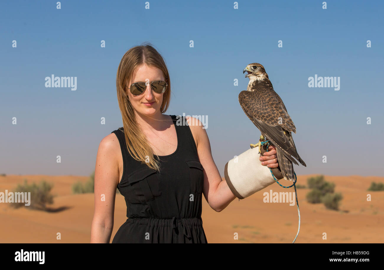 Young saker falcon falco hi-res stock photography and images - Alamy