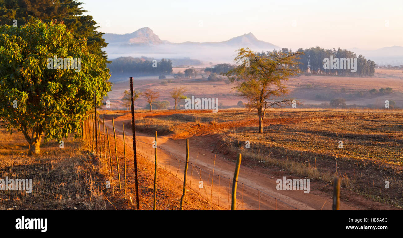 blur in swaziland mlilwane wildlife nature reserve mountain and tree ...