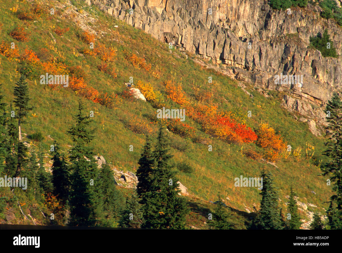 Fall Color on Hillside, Abruzzo, Itlay Stock Photo - Alamy