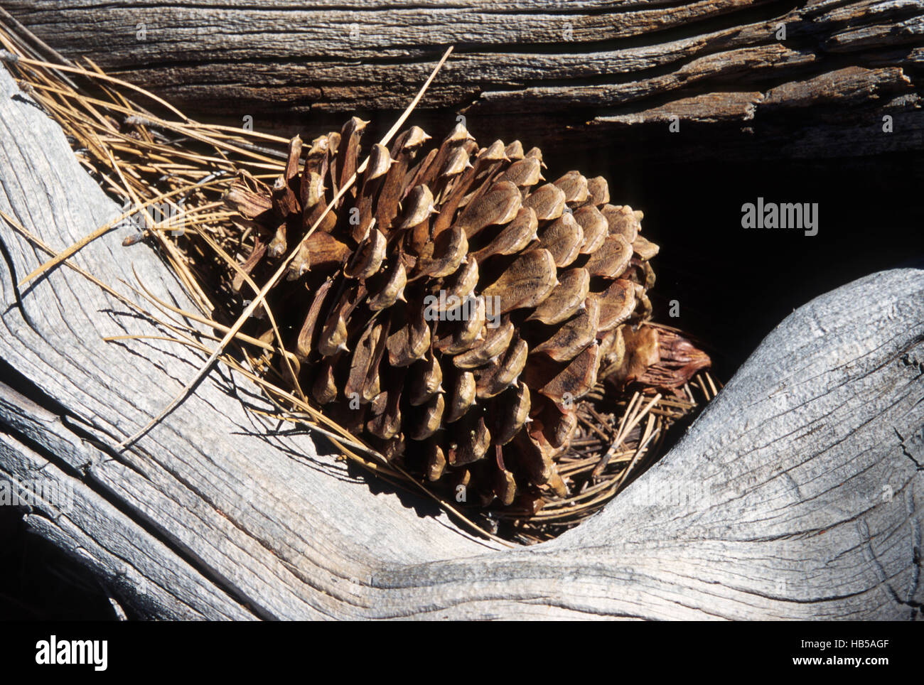 Debris cone hi-res stock photography and images - Alamy