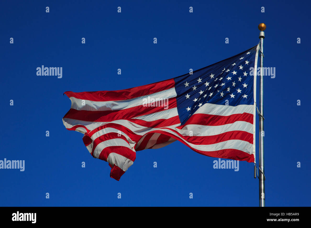 USA flag waving on the wind on clear blue sky background Stock Photo ...
