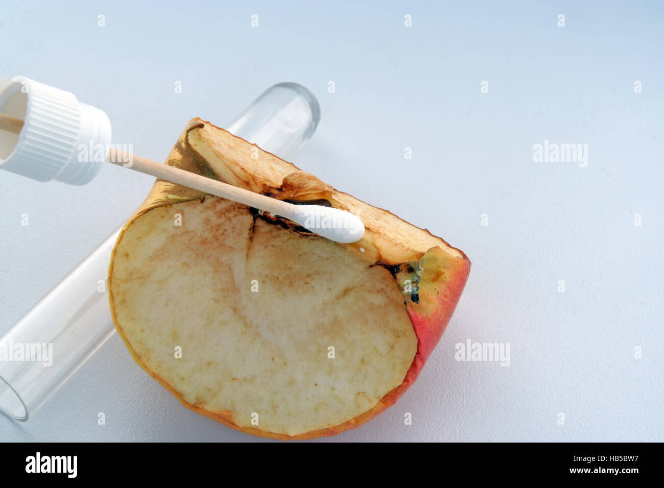 Laboratory testing food. Genetic modified food Stock Photo - Alamy
