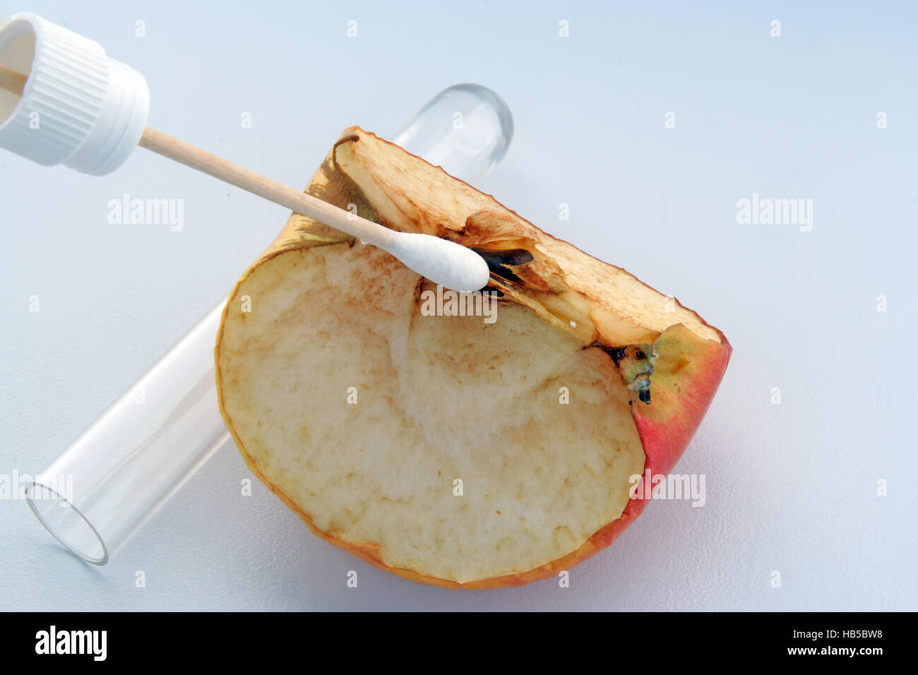 Laboratory testing food. Genetic modified food Stock Photo - Alamy
