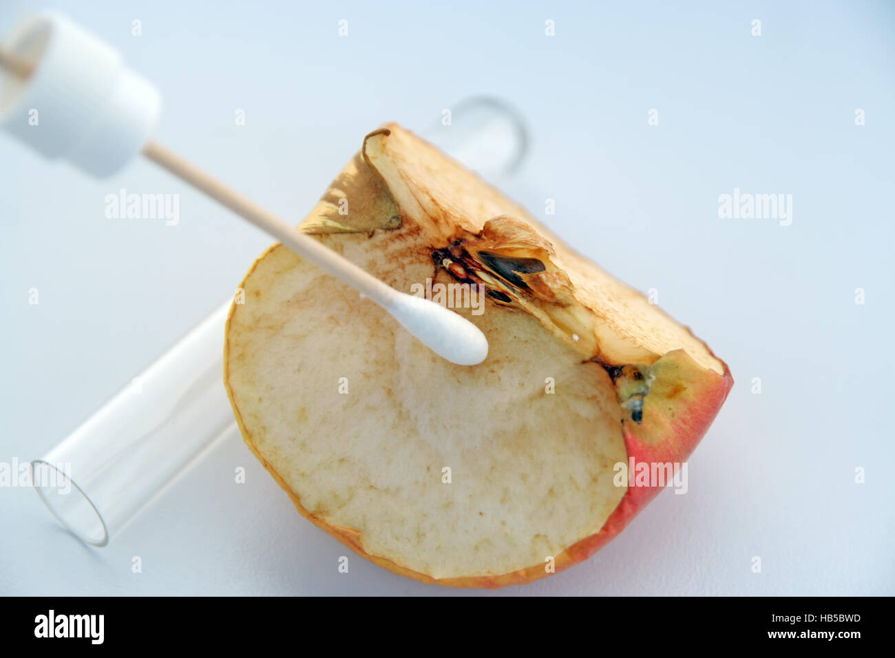 Laboratory testing food. Genetic modified food Stock Photo - Alamy