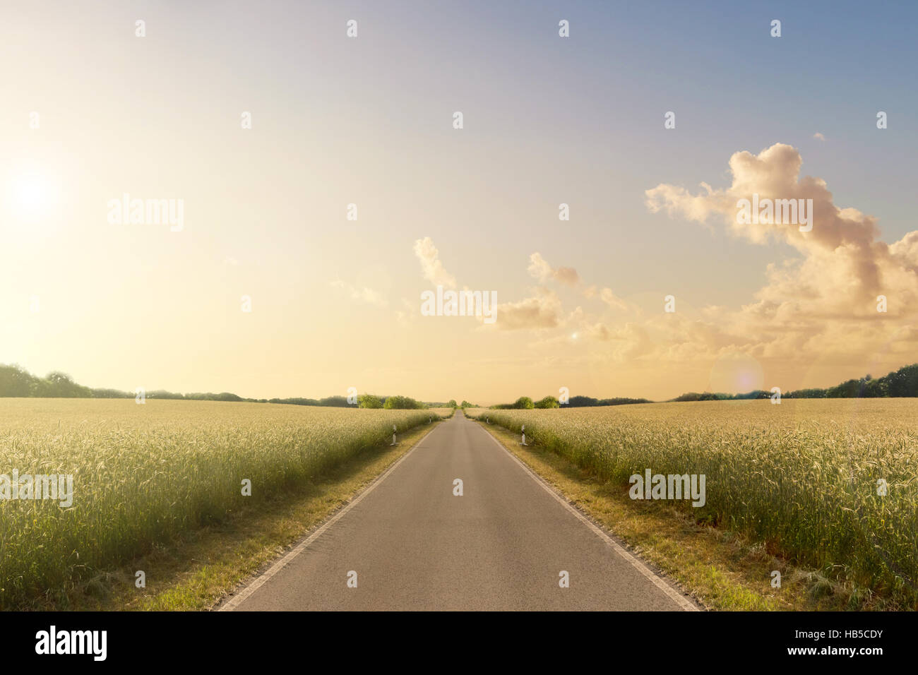 empty, straight road in rural landscape Stock Photo - Alamy