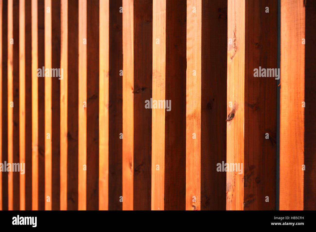 Varnished wooden beams side by side. Image with shallow depth of field ...