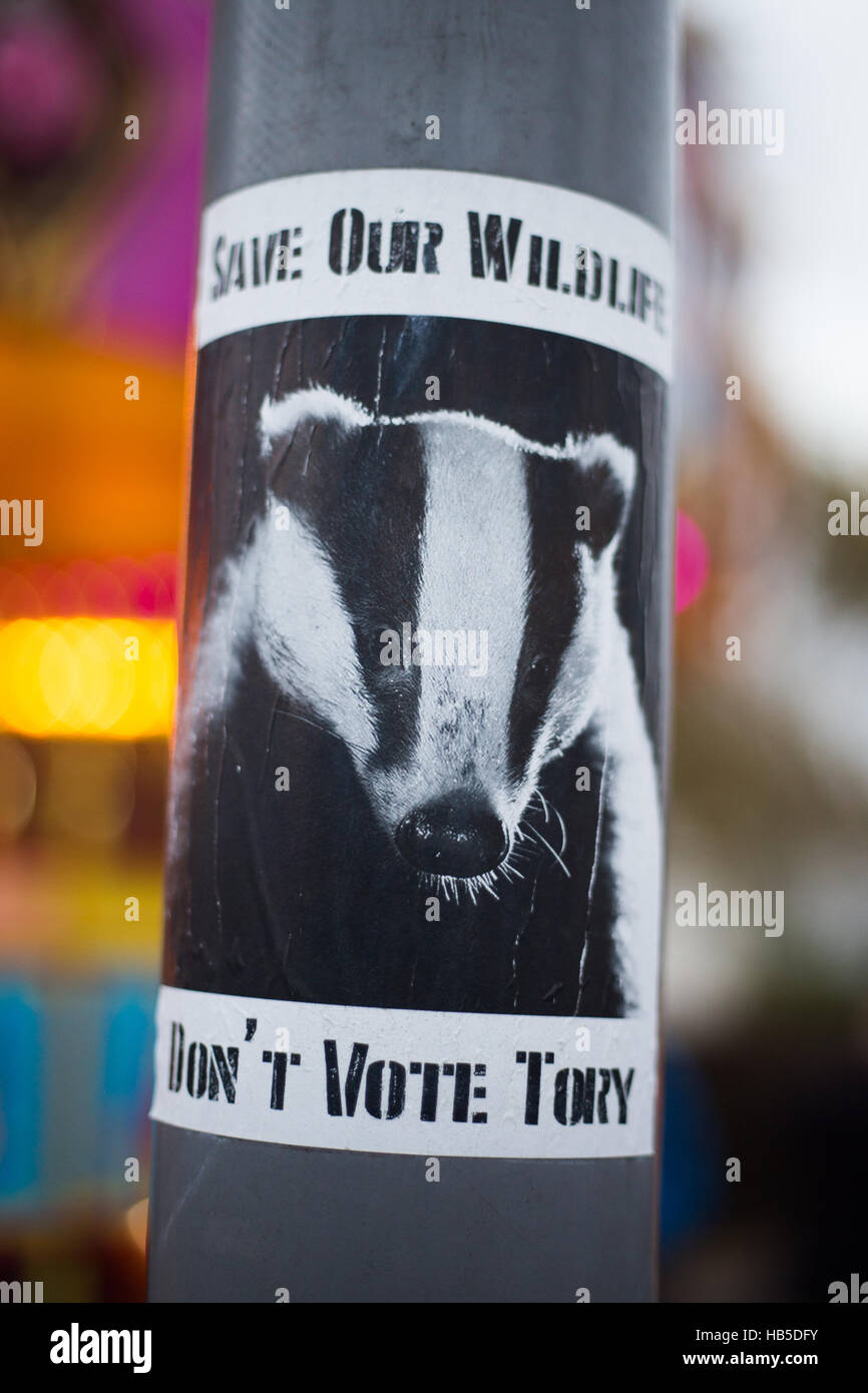 Save our wildlife, don't vote Tory poster on a lamp post Stock Photo ...