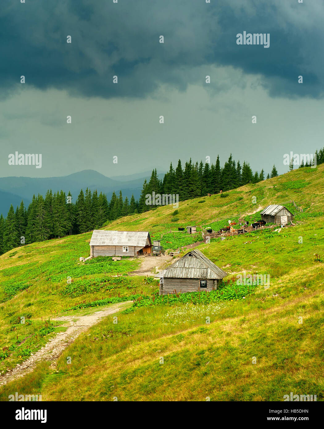 Top view rain hi-res stock photography and images - Alamy