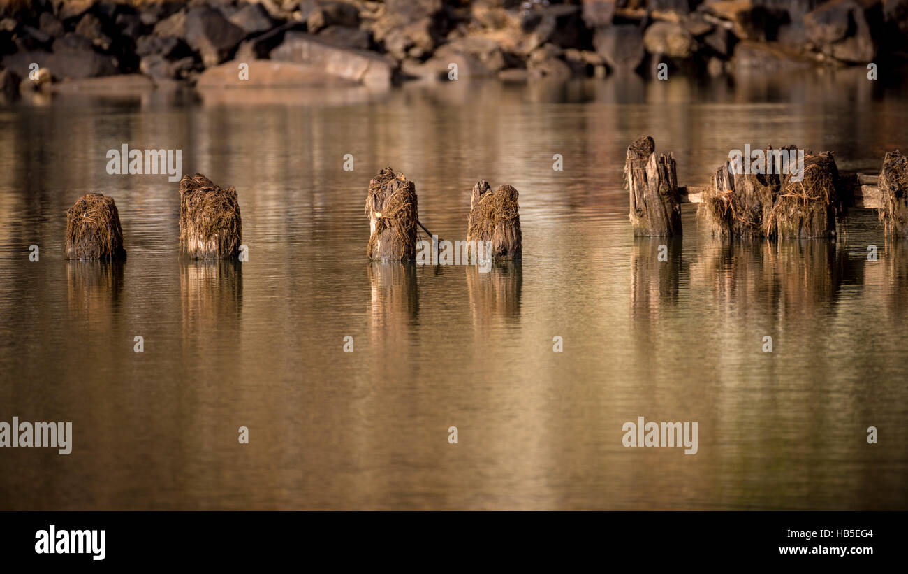River pylons hi-res stock photography and images - Alamy