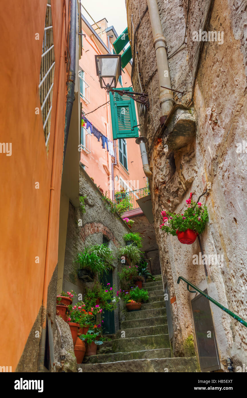 steep alley in Riomaggiore, Cinque Terre, Italy Stock Photo - Alamy