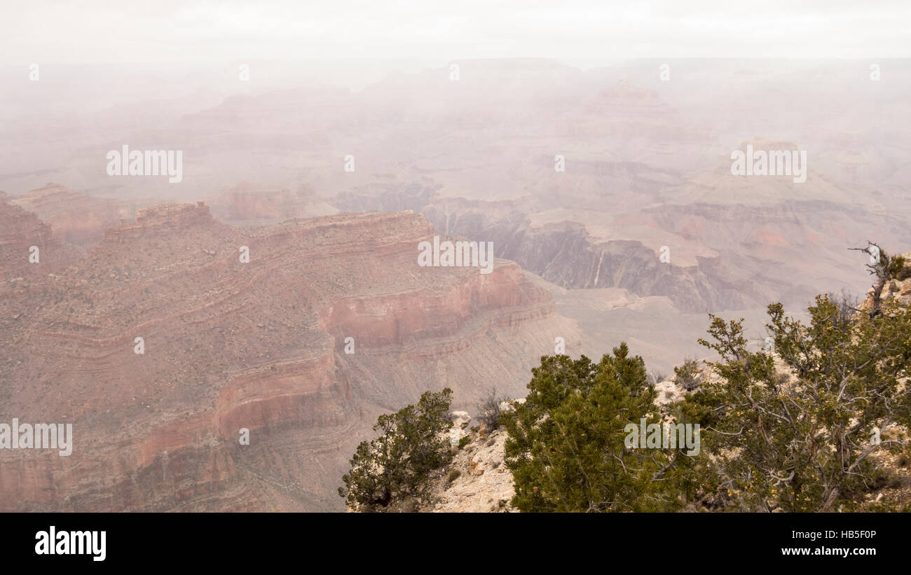 The Grand Canyon National Park in Arizona Stock Photo - Alamy