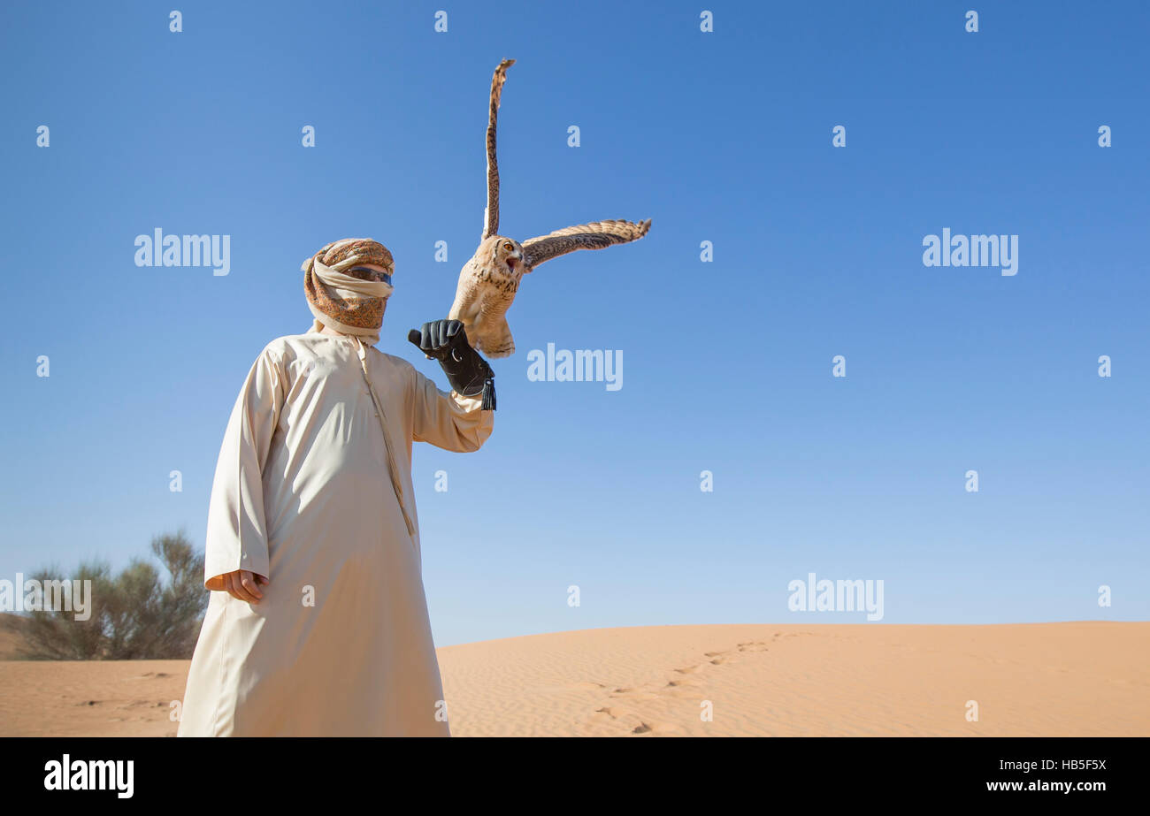 Desert birding hi-res stock photography and images - Alamy