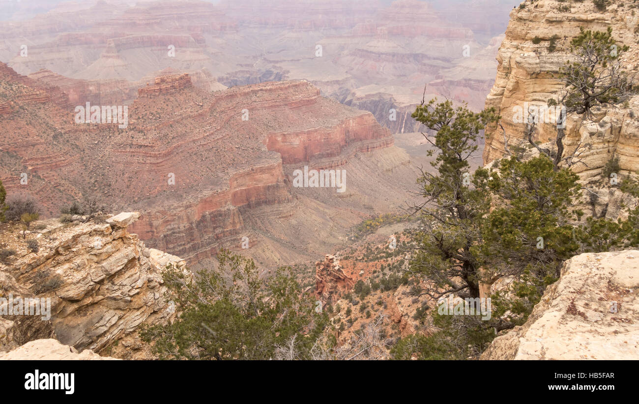 The Grand Canyon National Park in Arizona Stock Photo - Alamy