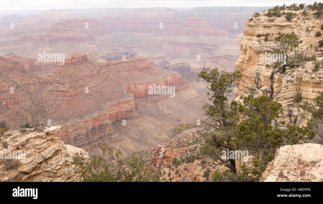 The Grand Canyon National Park in Arizona Stock Photo - Alamy