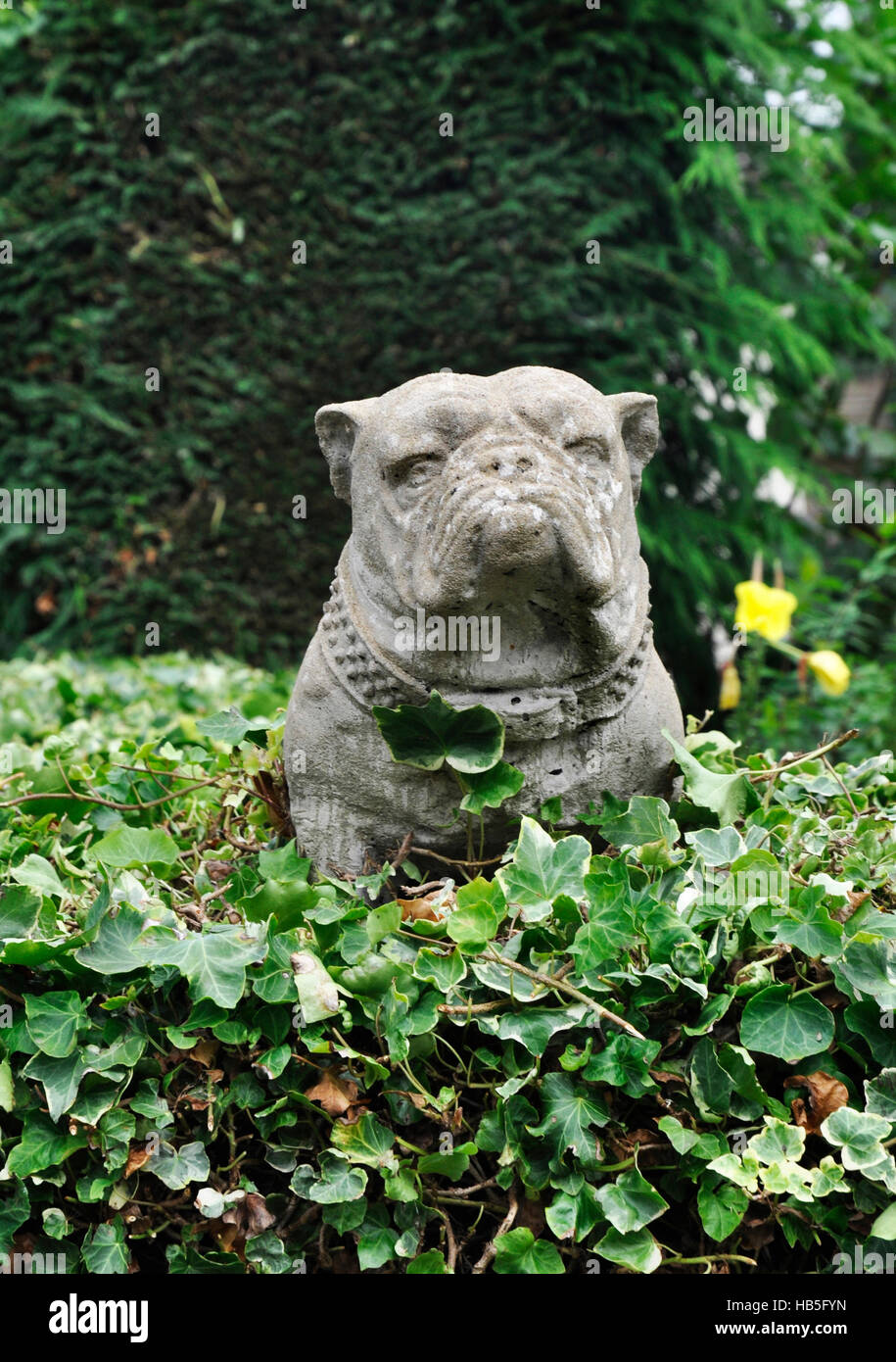 Bulldog statue hi-res stock photography and images - Alamy