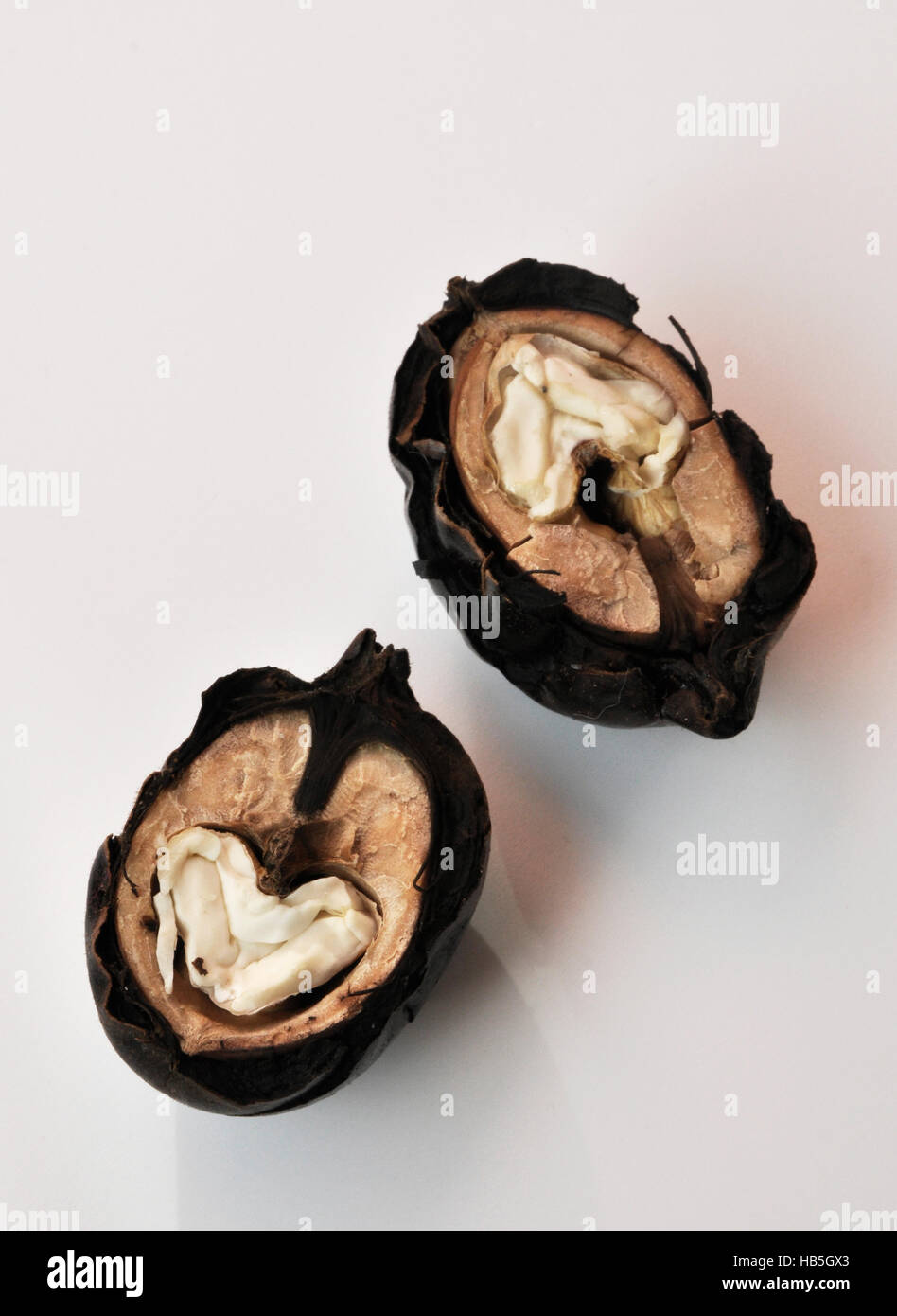 fresh walnut in shell Stock Photo - Alamy