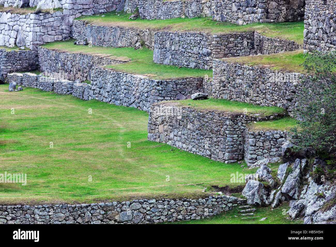 terraces on the mountain Stock Photo - Alamy