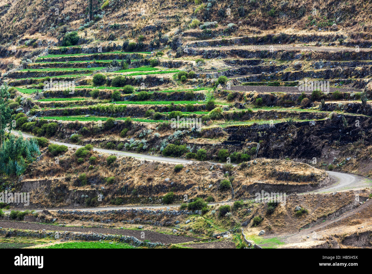 terraces and road Stock Photo - Alamy