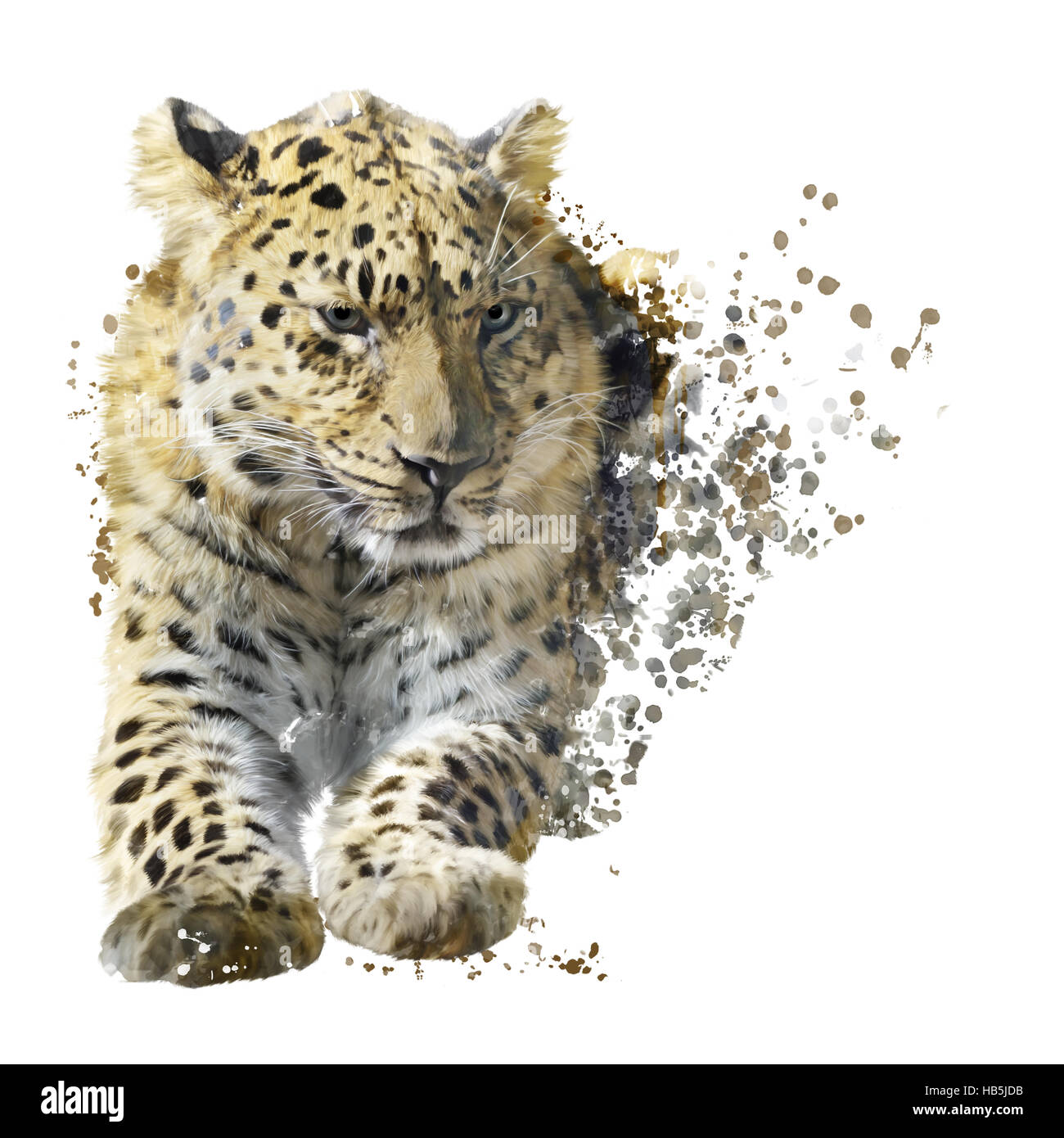 Leopard Portrait Watercolor Stock Photo - Alamy