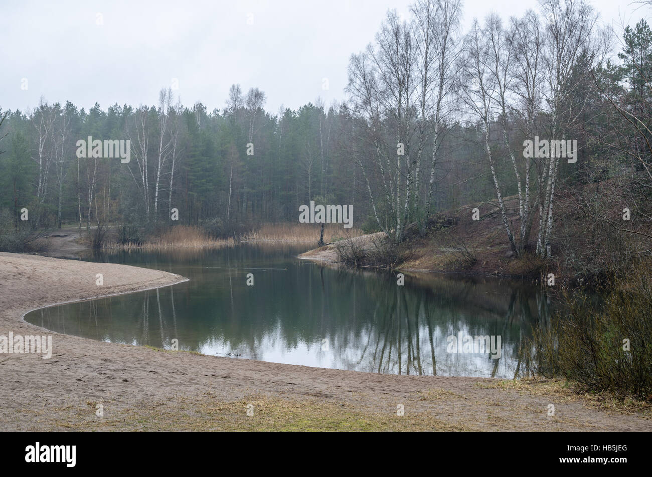 Mystic foggy forest hi-res stock photography and images - Alamy