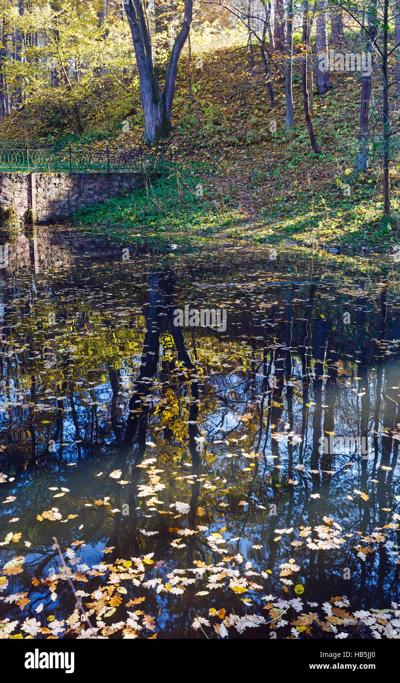 Pond in the city autumn park Stock Photo - Alamy
