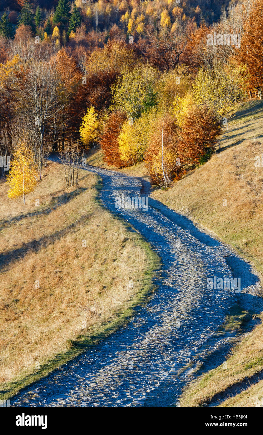 Rural road and golden autumn in mountain Stock Photo - Alamy