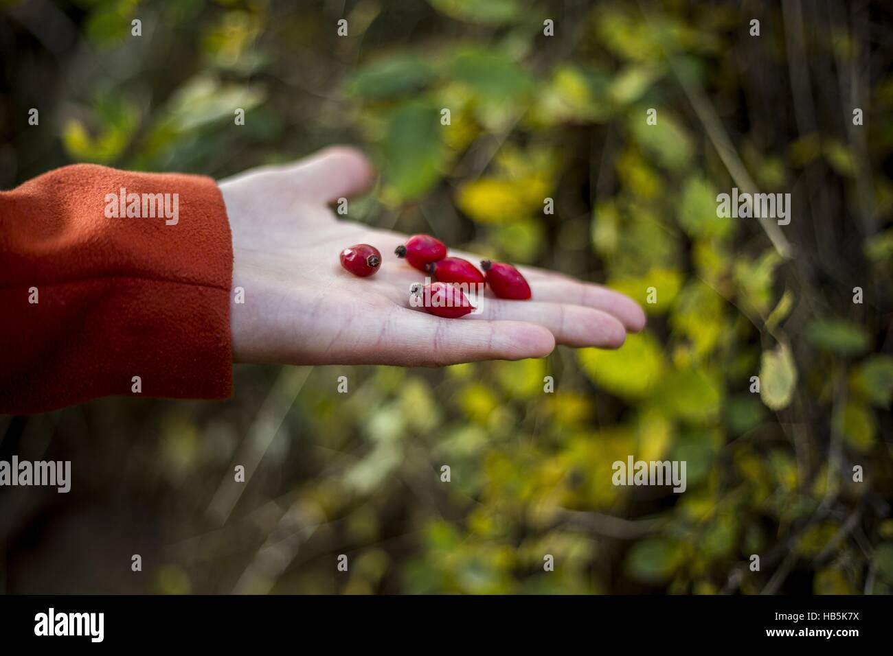 Hand and fruit hi-res stock photography and images - Alamy