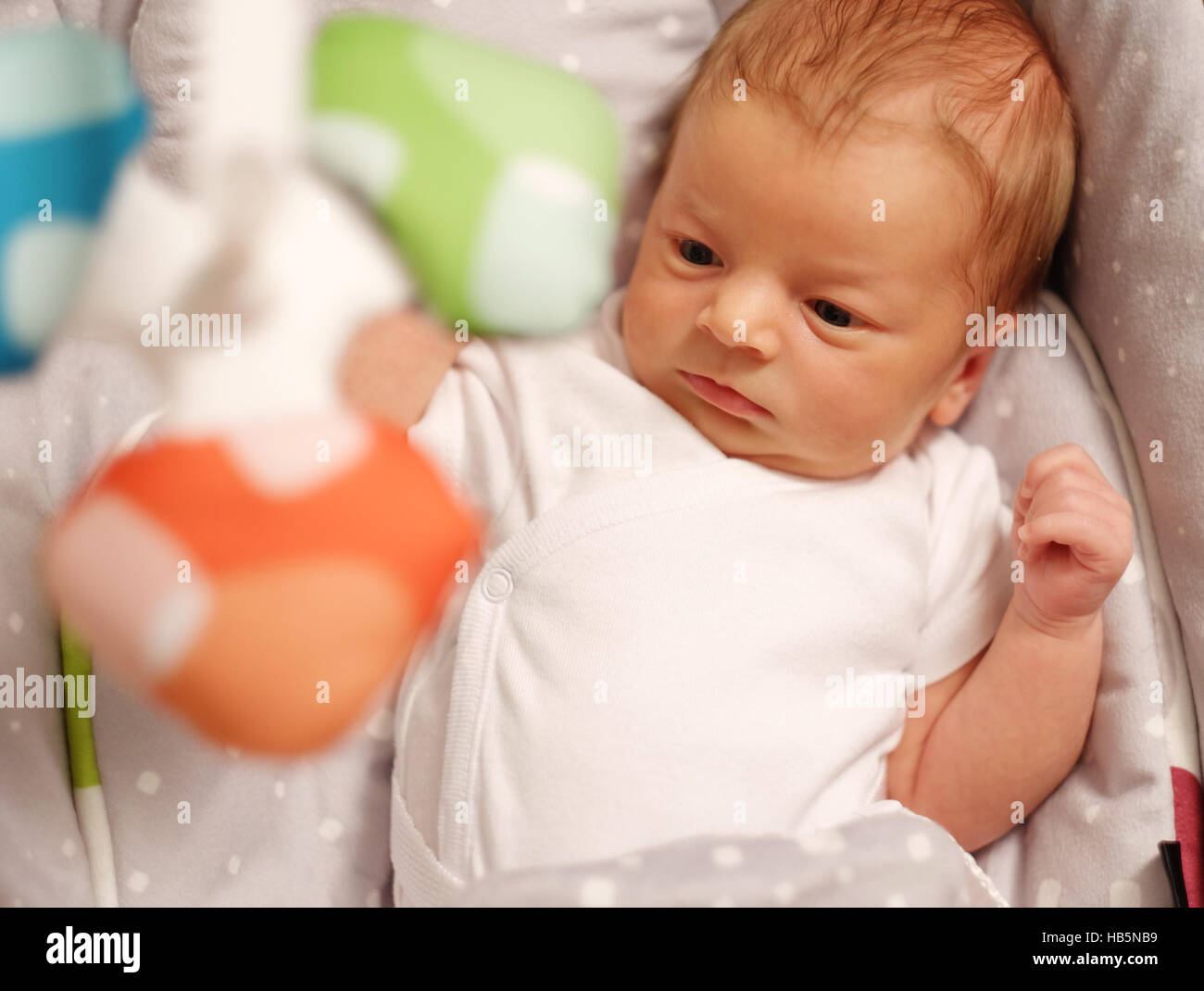 Two weeks old newborn baby Stock Photo - Alamy