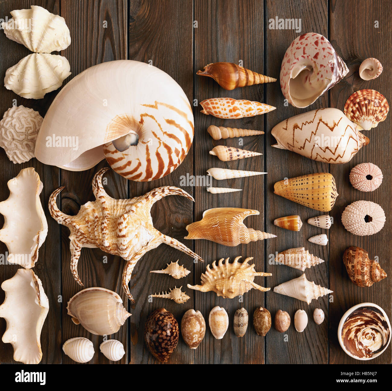 Table nature collection hi-res stock photography and images - Alamy