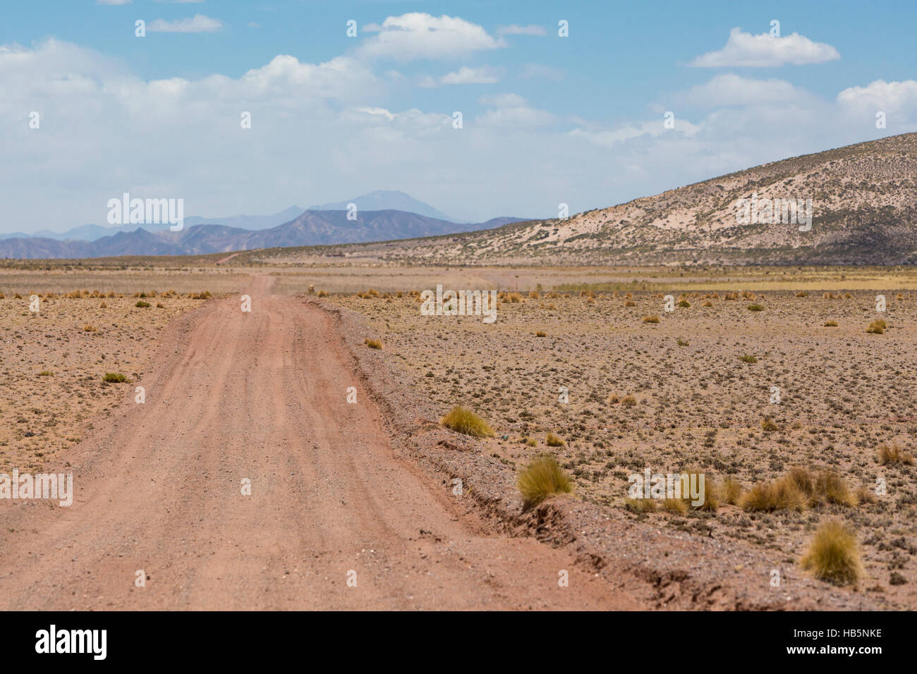 Sandy track and arid landscape with blue sky in Bolivia Stock Photo - Alamy