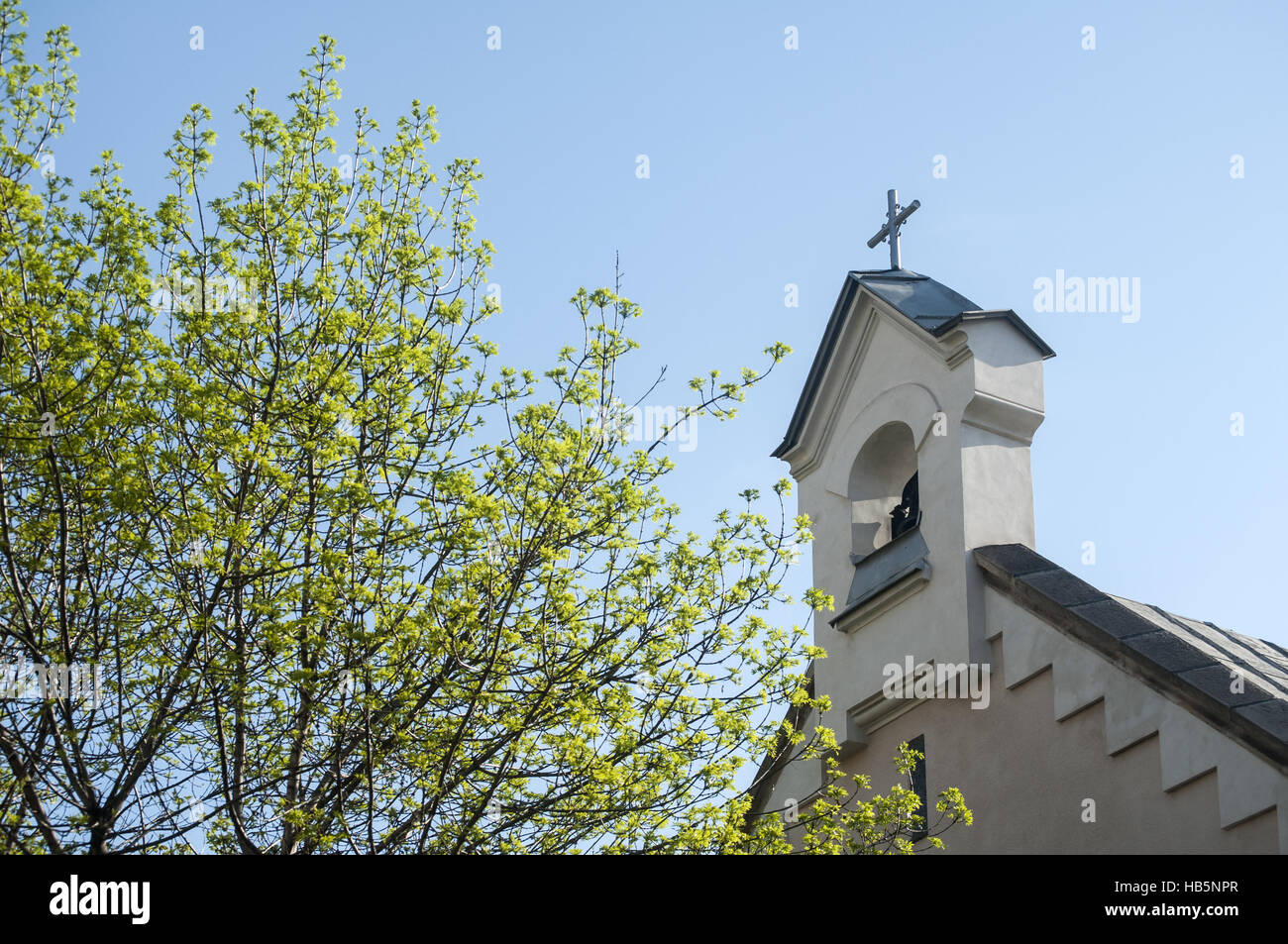Tree catholic christian faith hi-res stock photography and images - Alamy