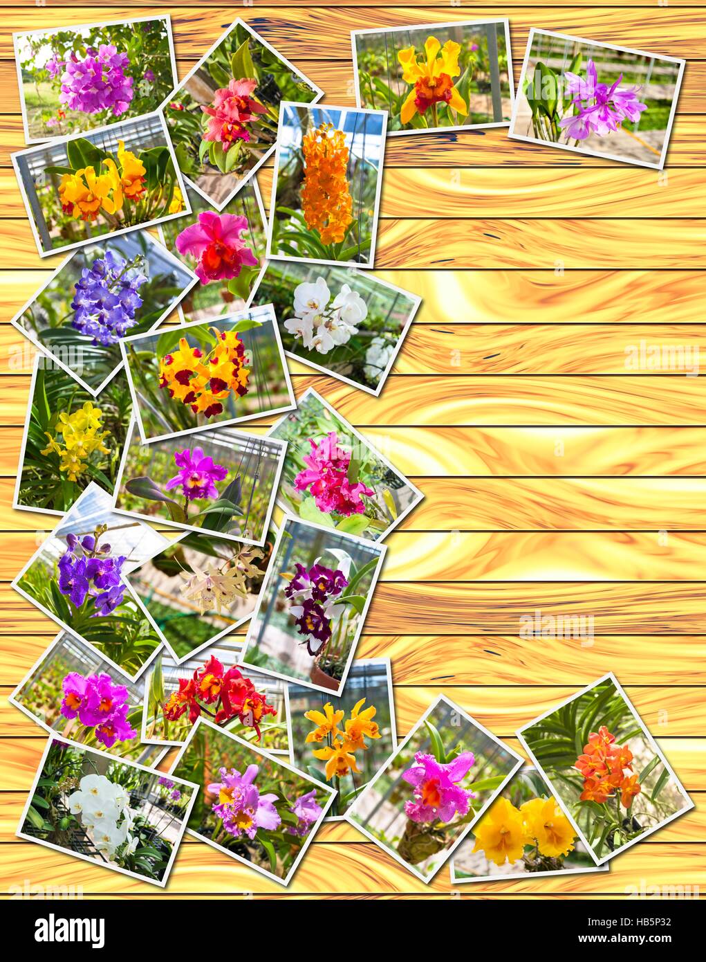 Stack of old photos vintage hi-res stock photography and images - Alamy