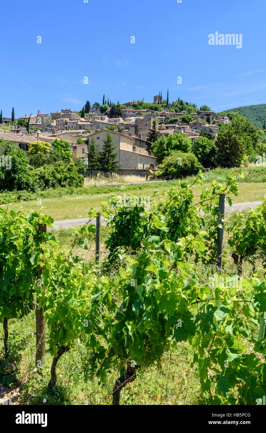 Grapevines surrounding the medieval village of Mirmande, Drôme, France ...