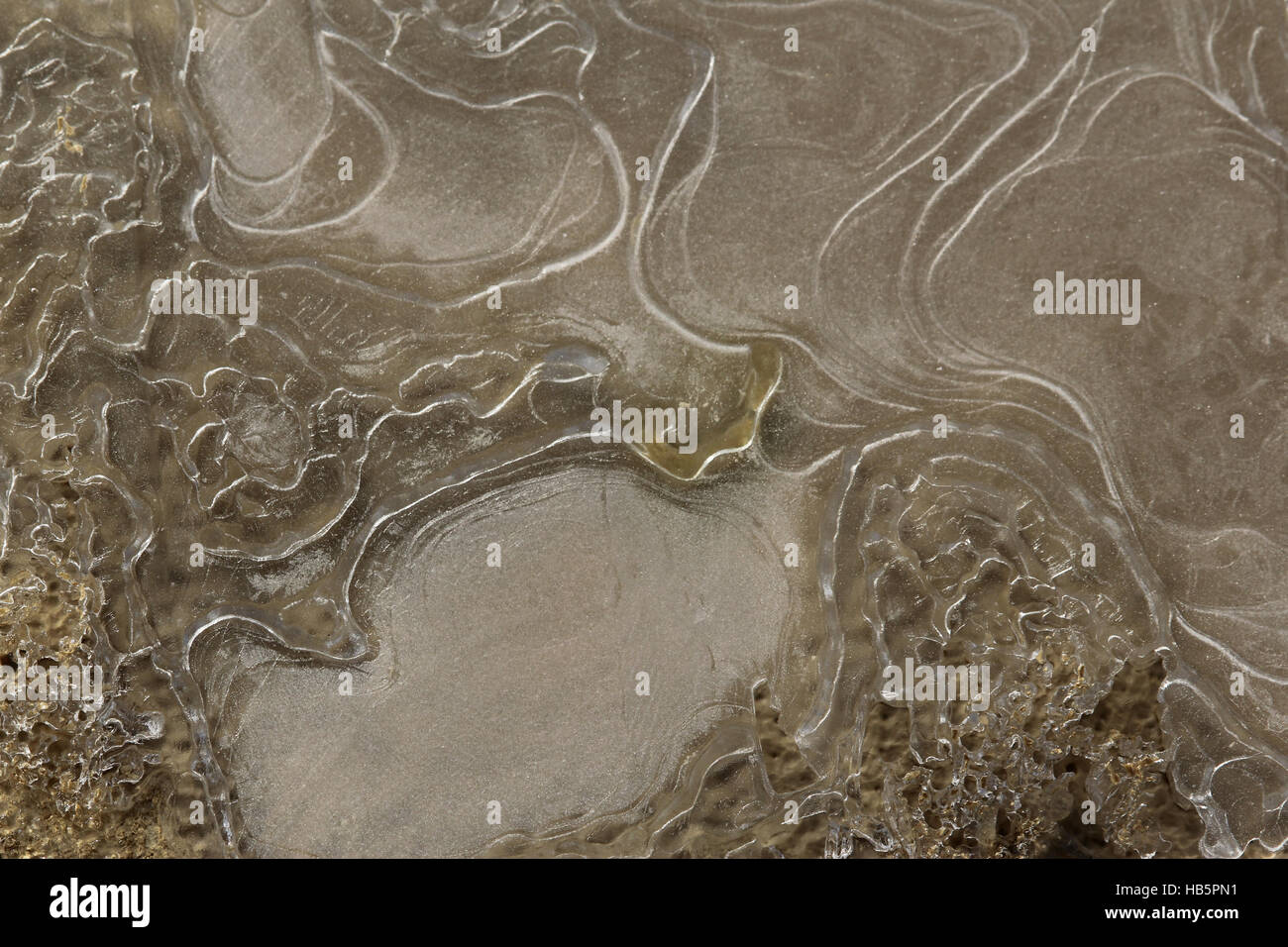 Puddle water hi-res stock photography and images - Alamy