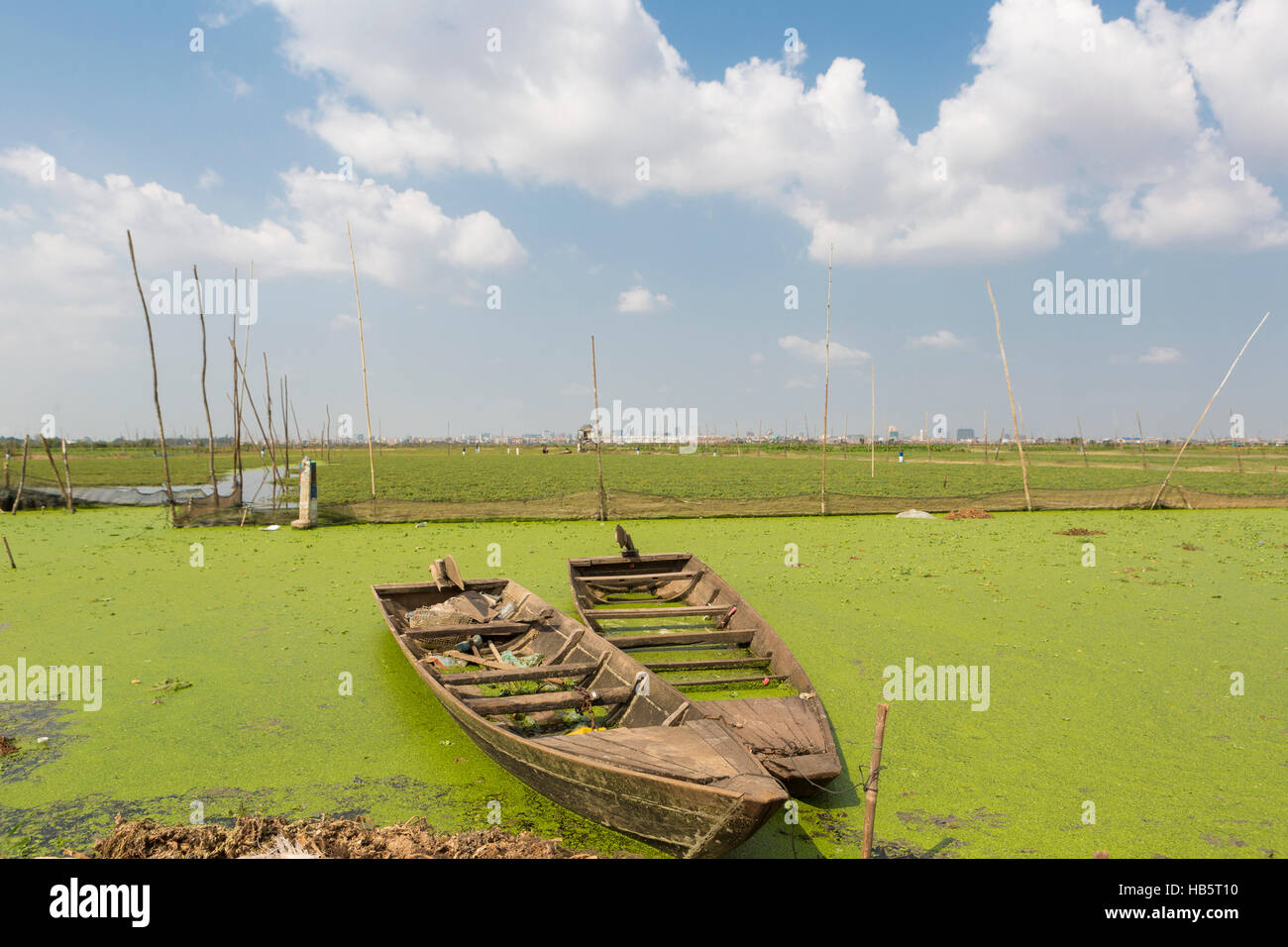 Boats floating near rice fields with Phnom Penh in the background Stock ...