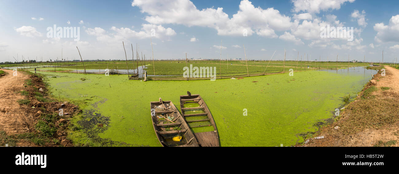 Boats floating near rice fields with Phnom Penh in the background Stock ...